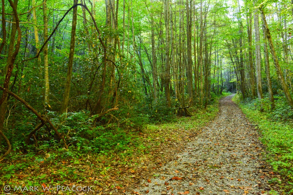 Appalachian Treks: White House Cliffs Trail