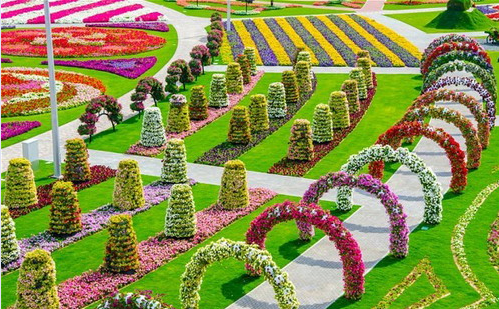 carrim: Taman Bunga Terbesar Dunia Di Padang Pasir Dubai