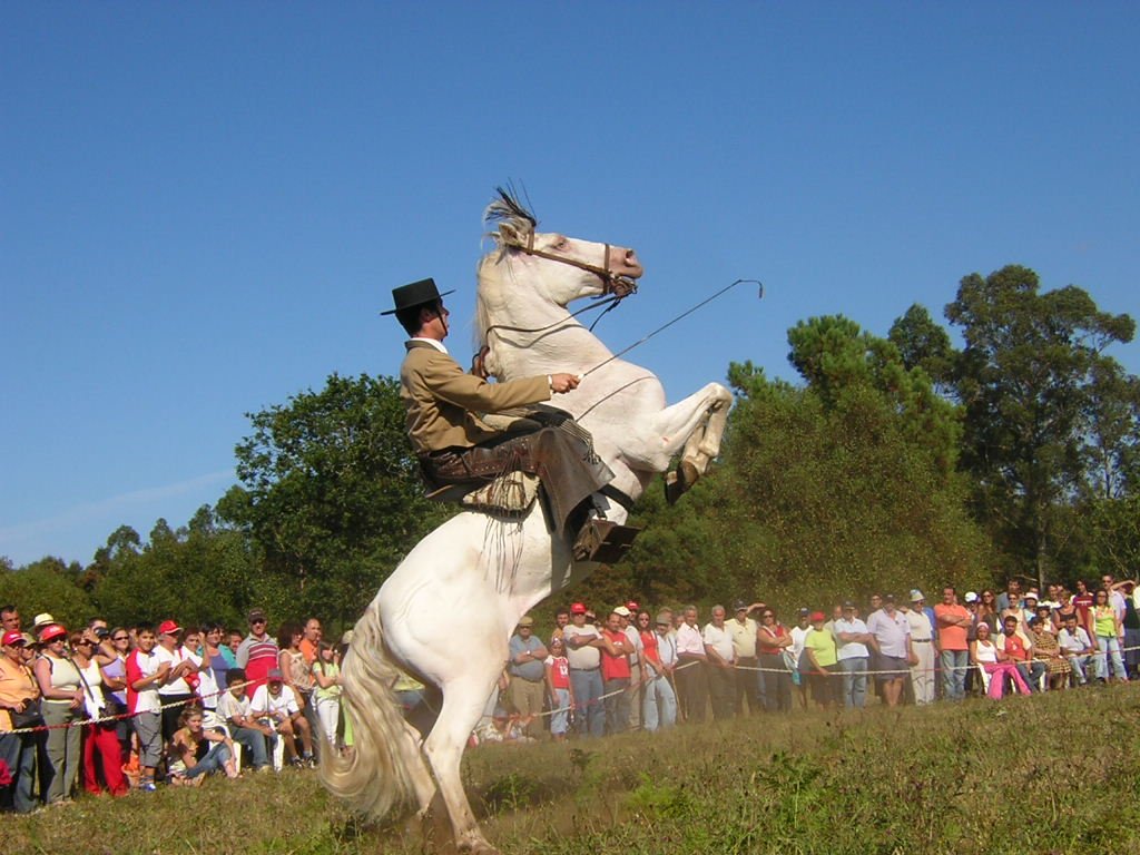 Blog Zuares Del Páramo (León): Esperctaculo de caballos Fiestas Zuares ...