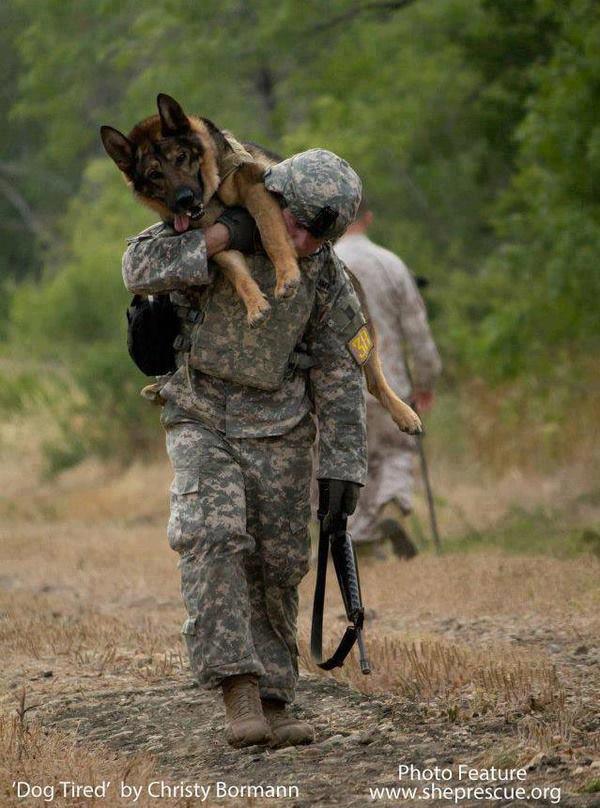 A True Soldier And A True Friend ♥