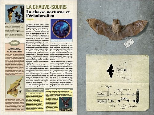 Animalia: Quand la nature inspire la science, de Mathilde Fournier
