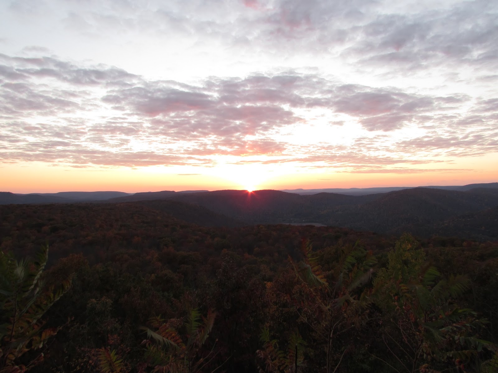 High Knob Overlook and Dry Run Falls: Loyalsock State Forest, Sullivan ...