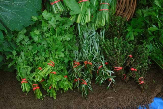 The Philly Food Feed