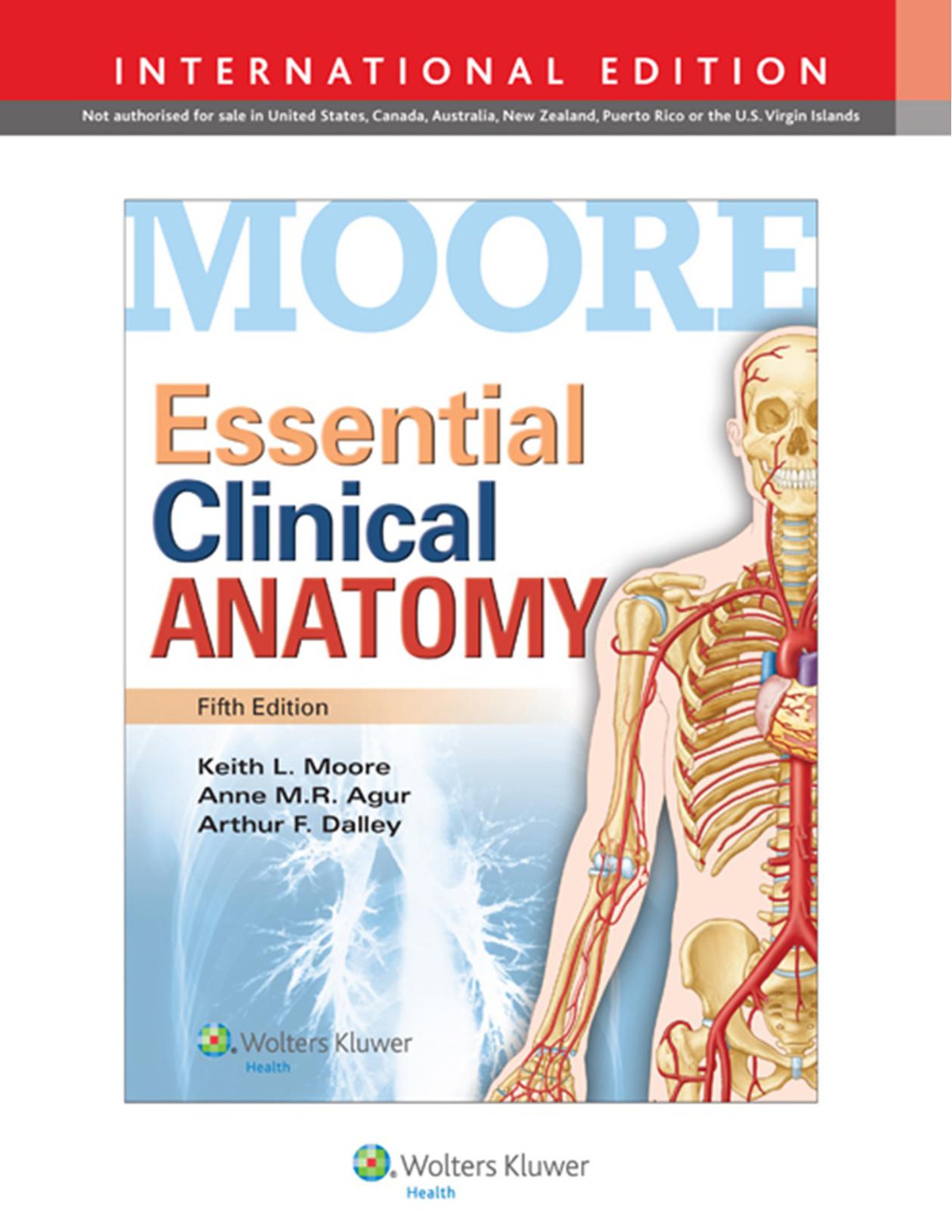 Medical Books Free: Essential Clinical Anatomy 5th Edition by Dr. Keith ...