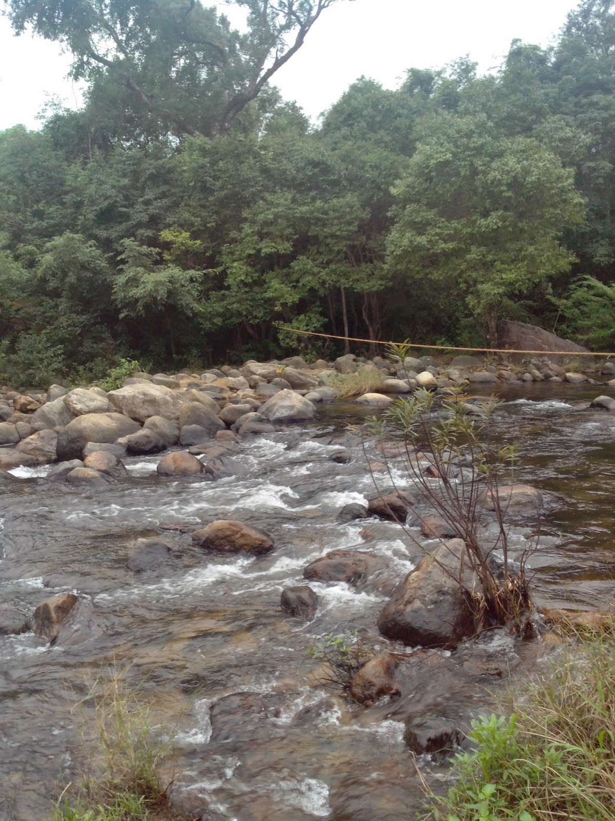 Payanam: Athiri Hills