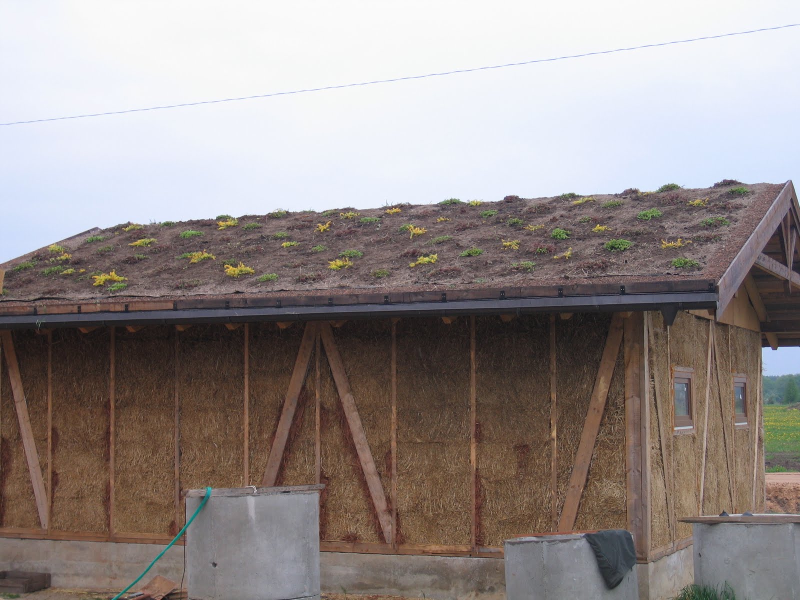 Mano namas: Zalias stogas