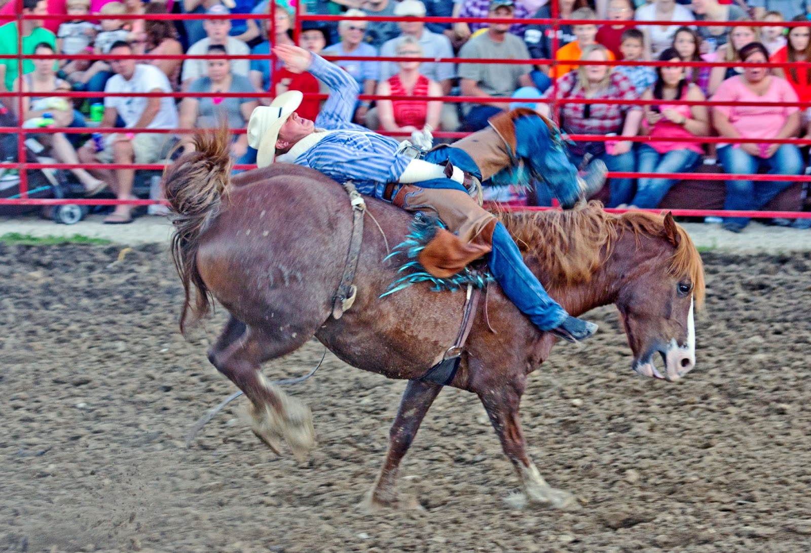 Funke Photos: Rodeo Scenes