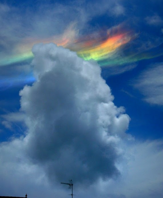 RED DE ESTRELLAS: NUBES DE ARCOIRIS