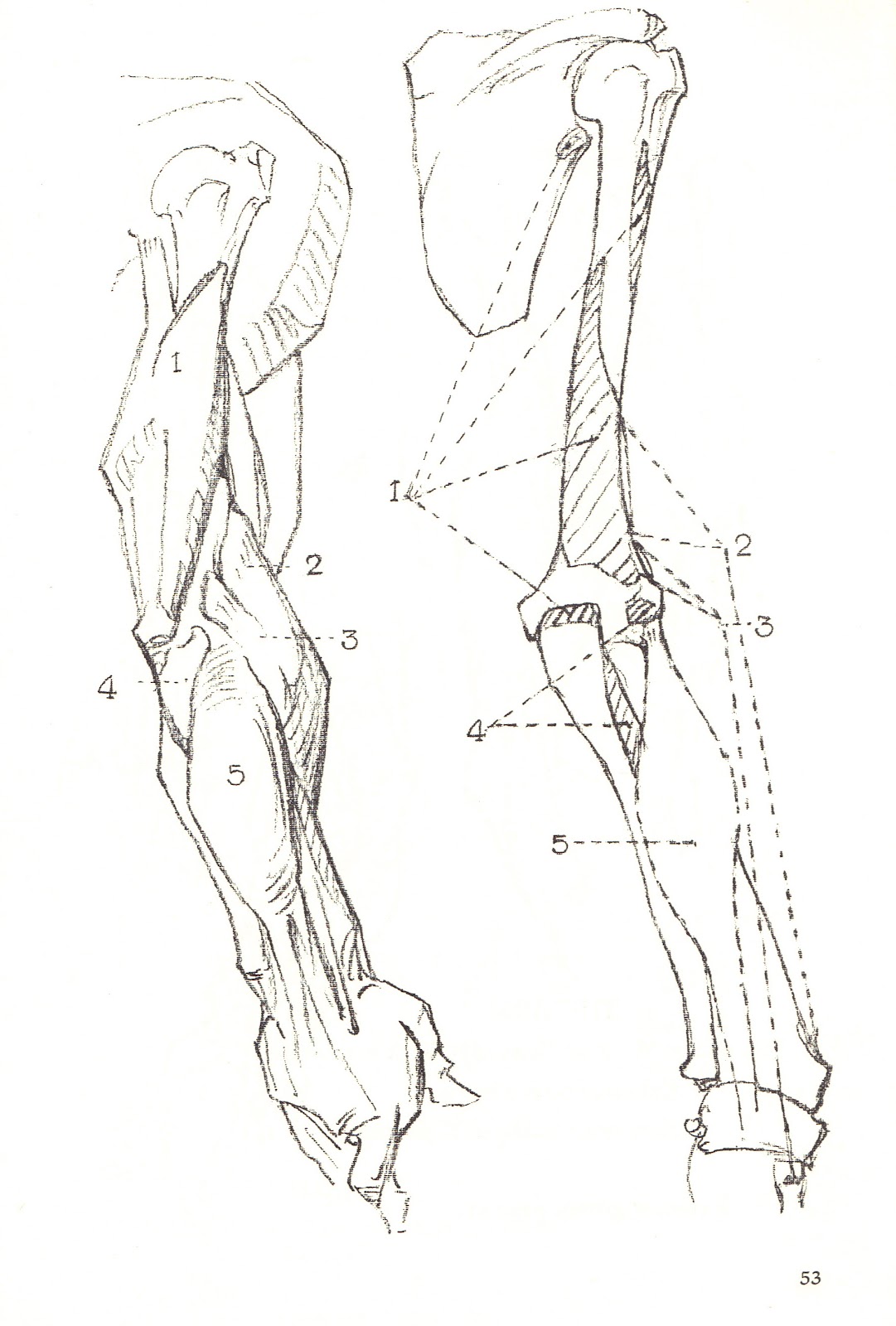 Foundation Figure: February 2012