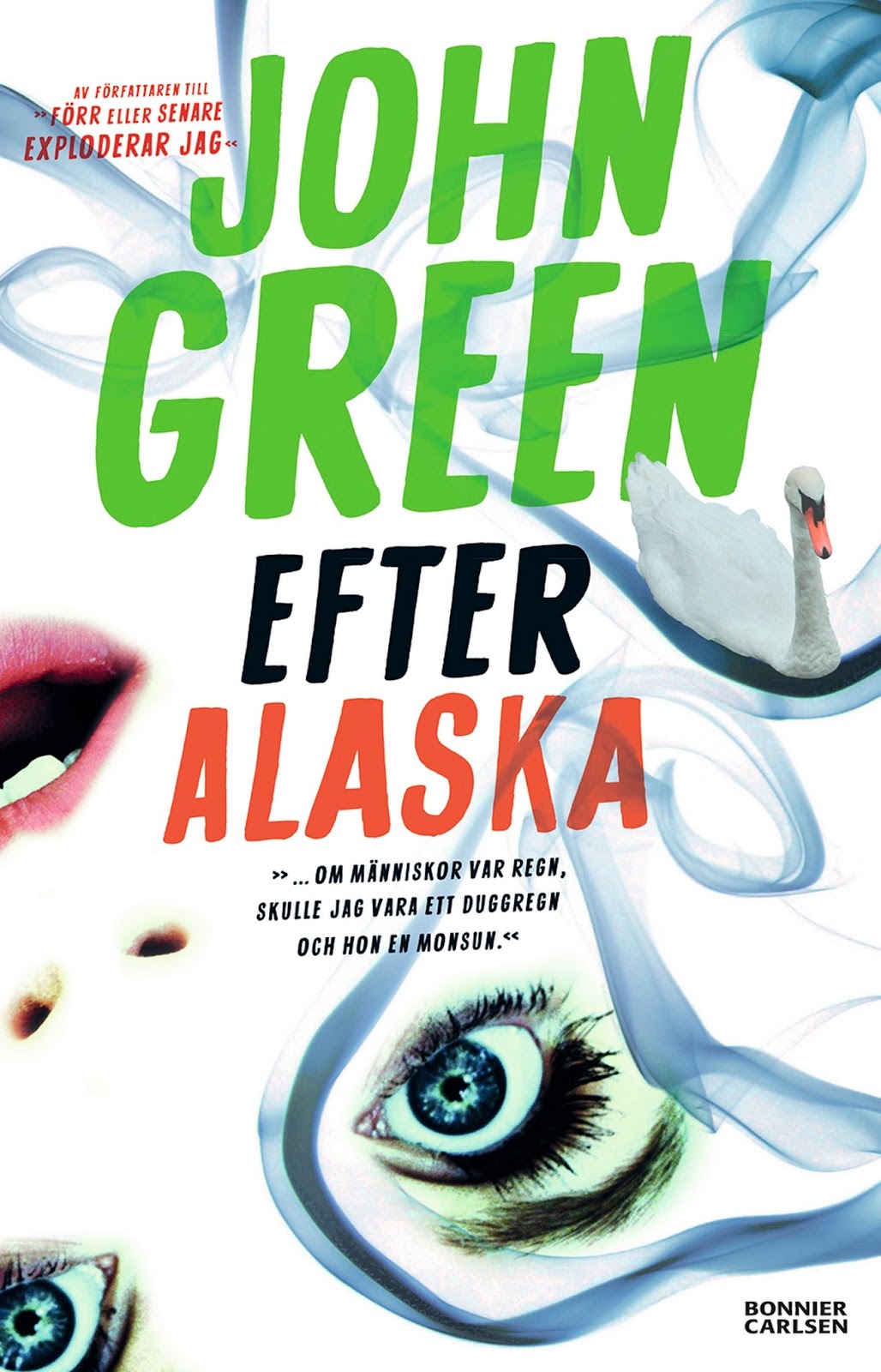 Aldrig Bara Ord: Efter Alaska av John Green