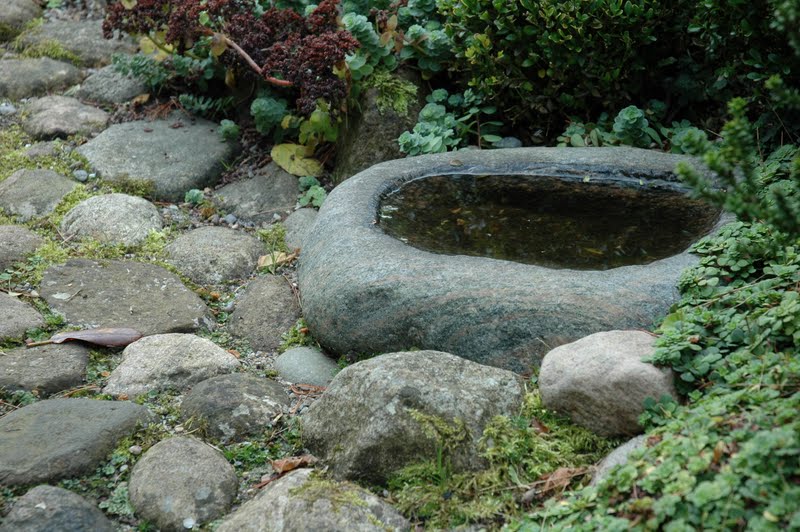 HAVETID: Sten og planter.