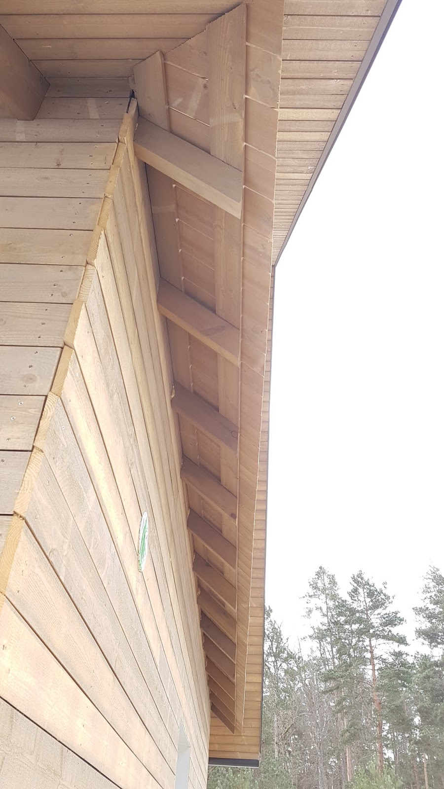 Dzūkiška pirkia: Išorinė apdaila