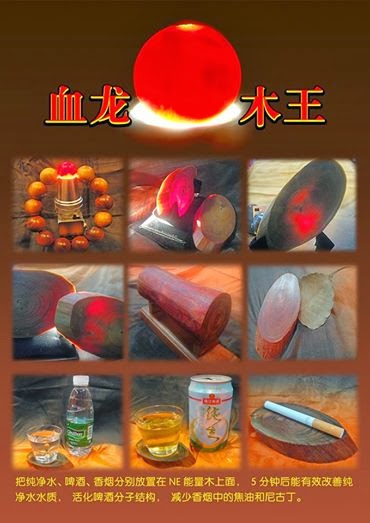 Raja Kayu/Pokok Raja 血龍木王,树王, 帝王木, 馬來西亞樹王, 神木 & Penawar Hitam 黑金树王/黑金木 ...