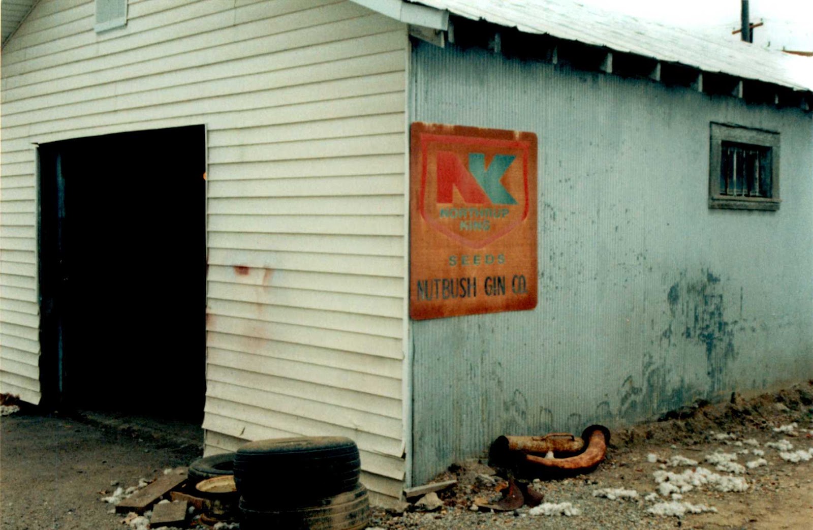 Corfu Blues and Global Views: Tina Turner's Nutbush