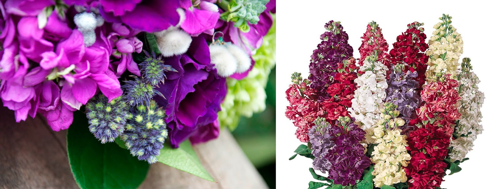 Producción y Decoración de Eventos: Flores y sus Temporadas