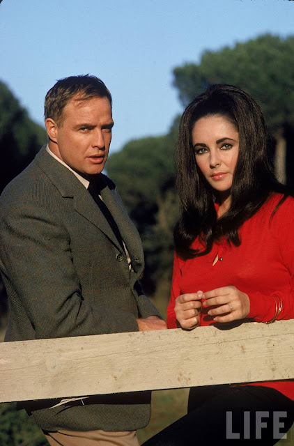 Citizen Grave: Marlon Brando - «The Contender»