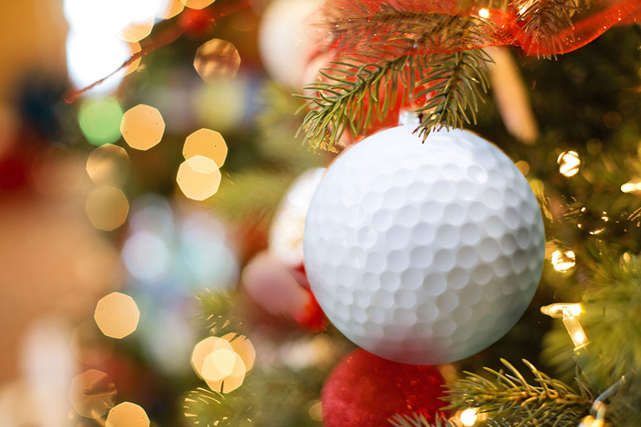 Executive Golf and Leisure Blog