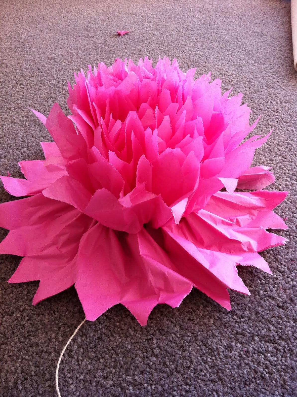 Winter Love: Pretty pretty Pom Pom.