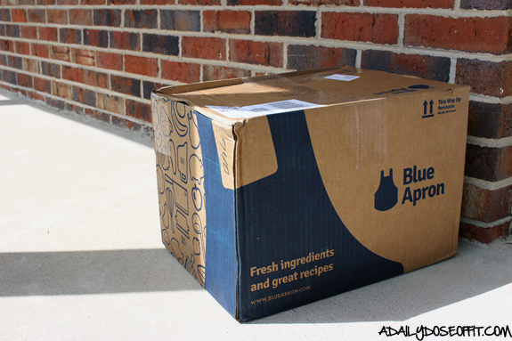 A Daily Dose of Fit: Is a meal delivery service right for you? (plus, a ...