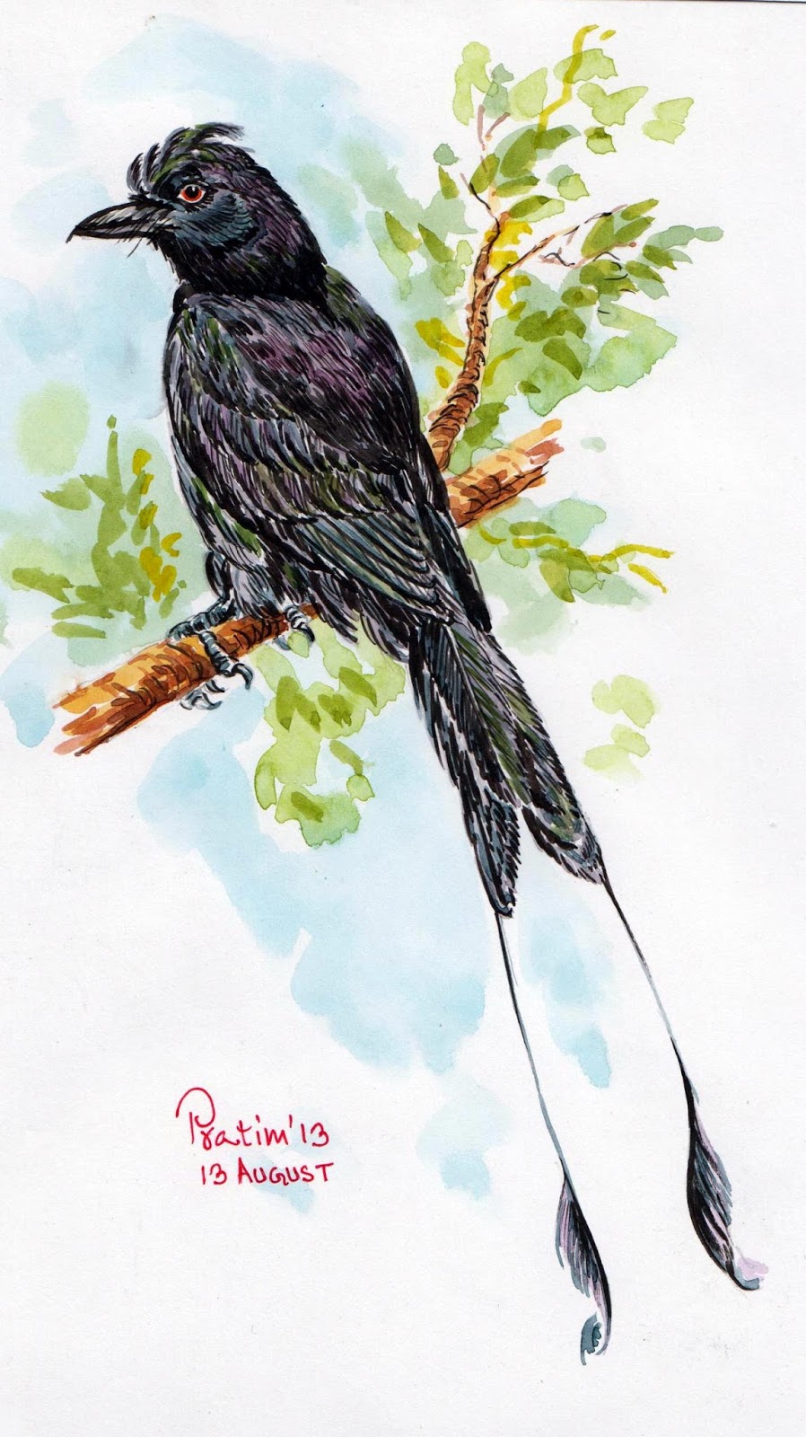 পাখি দেখুন পাখি চিনুন ...Observe the Birds and recognize: PAKHI DEKHOON ...