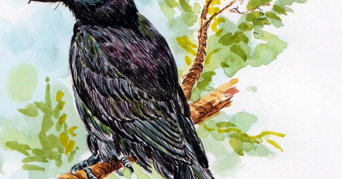 পাখি দেখুন পাখি চিনুন ...Observe the Birds and recognize: PAKHI DEKHOON ...