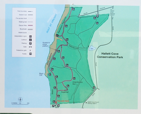 環世界の窓から: オーストラリアの地史を探るーHallett Cove Conservation Park