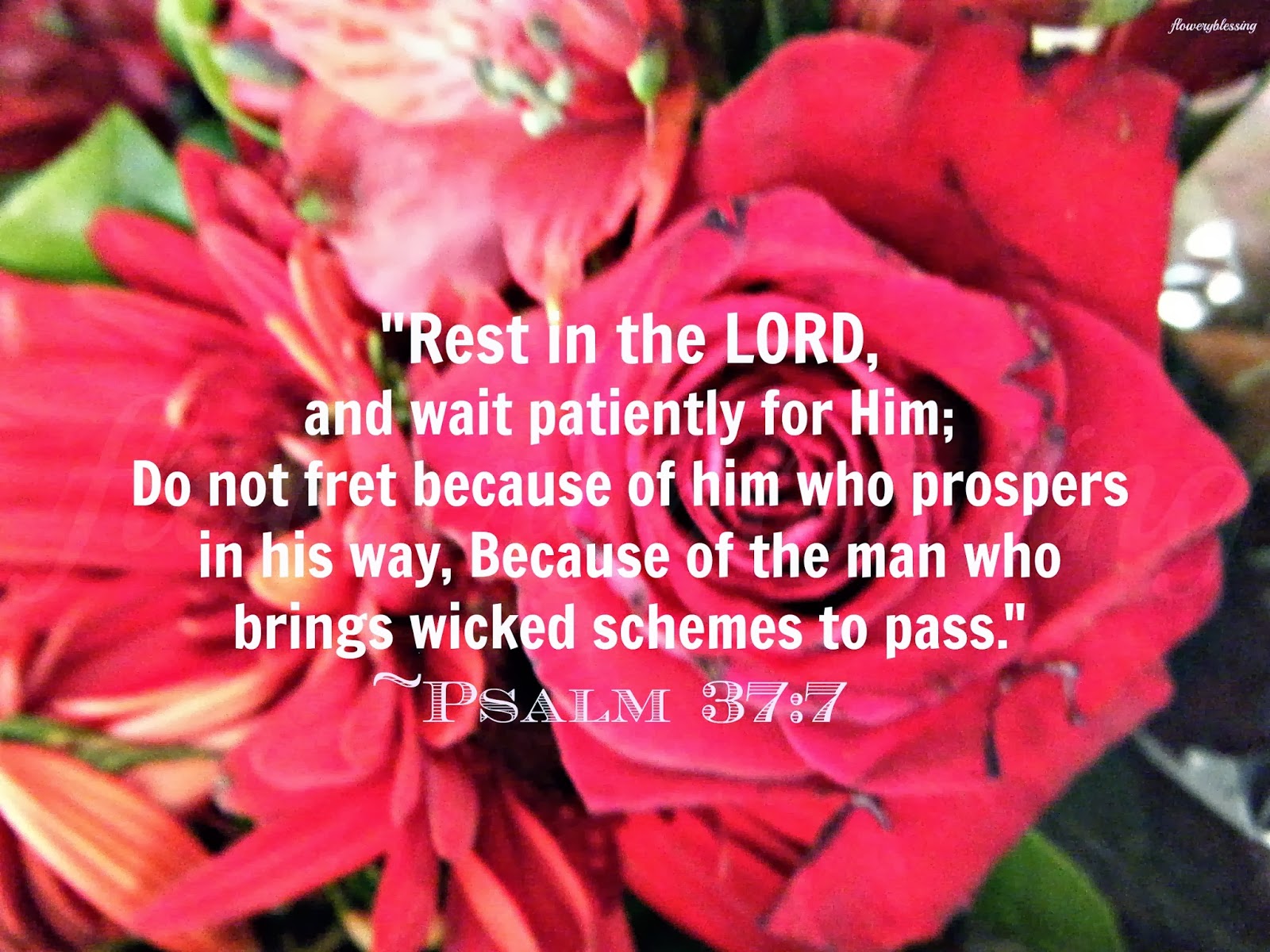 Flowery Blessing: "Rest in the LORD, and wait patiently for Him; Do not ...