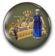 Israel Defense Forces,logo,badges and wallpaper 3D-HD: IDF badge button ...