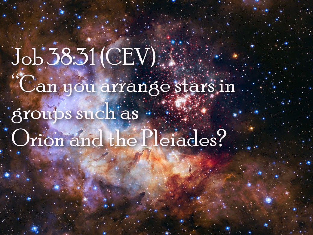 Matariki - celebrating together the Māori New Year!