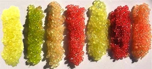 VIVEIRO DO LIMA: LIMÃO CAVIAR