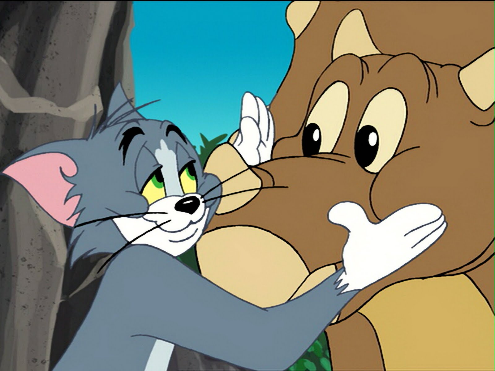 Hot Tom And Jerry Cartoon