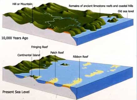 The Great Barrier Reef
