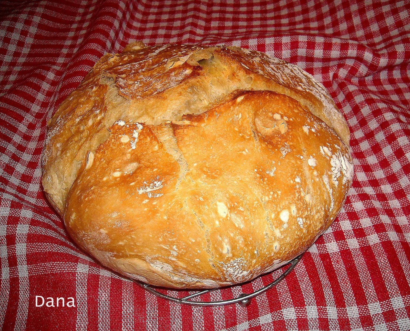 Danina kuhinja: Hleb koji se ne mesi