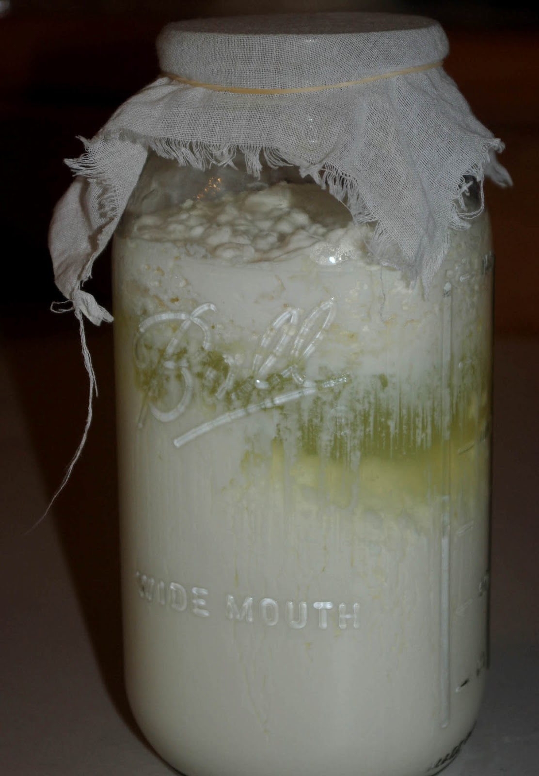 A View From The Cottage: Making Kefir