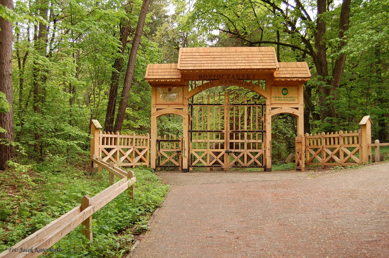 Zwierzyniec i Roztoczański Park Narodowy - Kot Warszawski