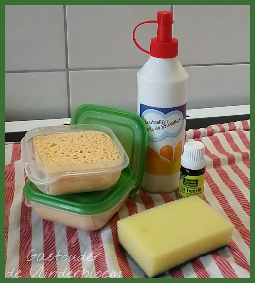 Gastouder De Vlinderbloem