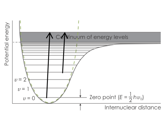 Bagel Trance And Happenstance Translational Rotational And