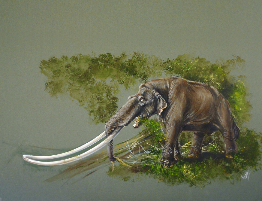 ENIGMAS Y CIENCIAS DE UN PLANETA AZUL: Los mastodontes fueron muy ...