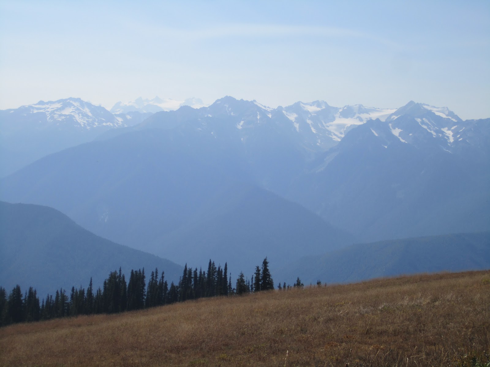The Travelling McFrothys: Port Angeles and Hurricane Ridge