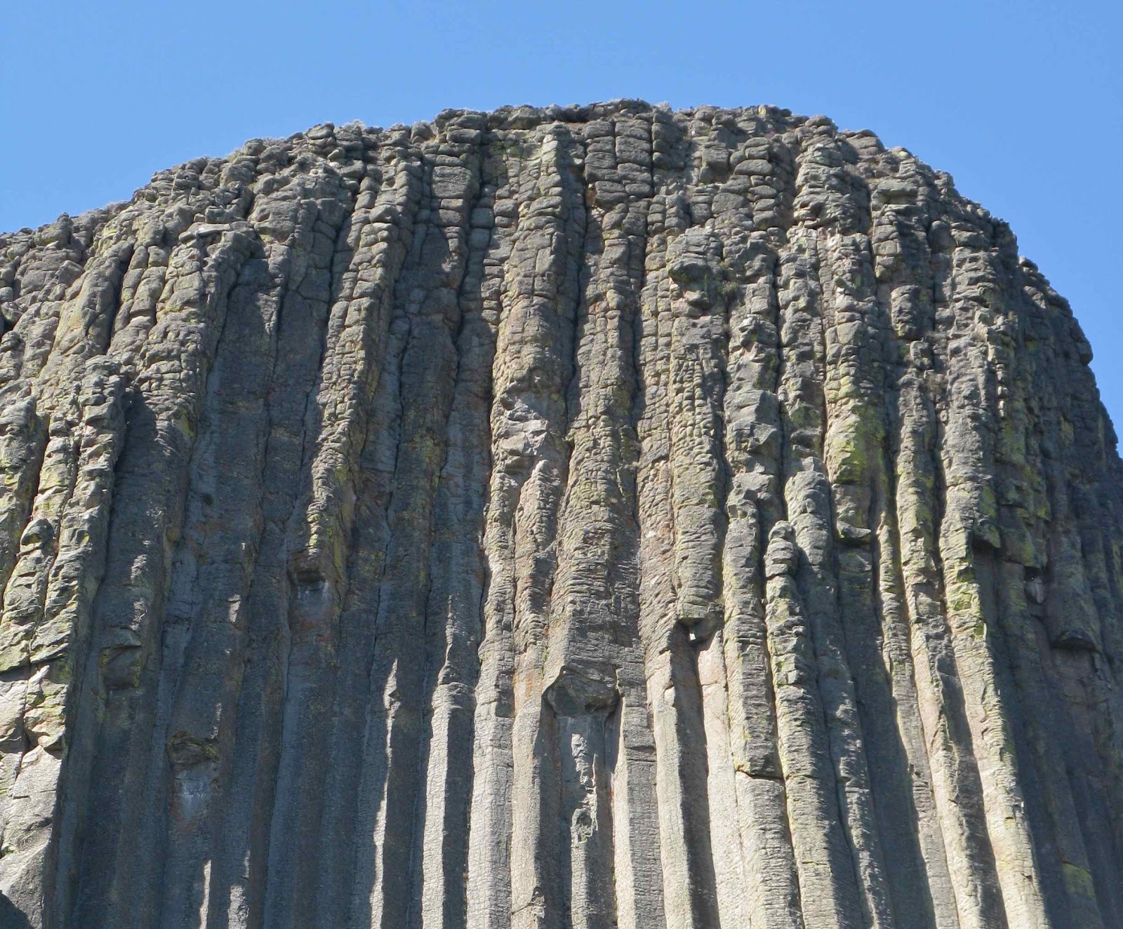 In the Company of Plants and Rocks: The many views of Devils Tower