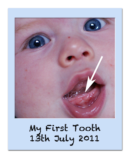 Lucey Blue: Soon there will be Gnashing of Teeth!