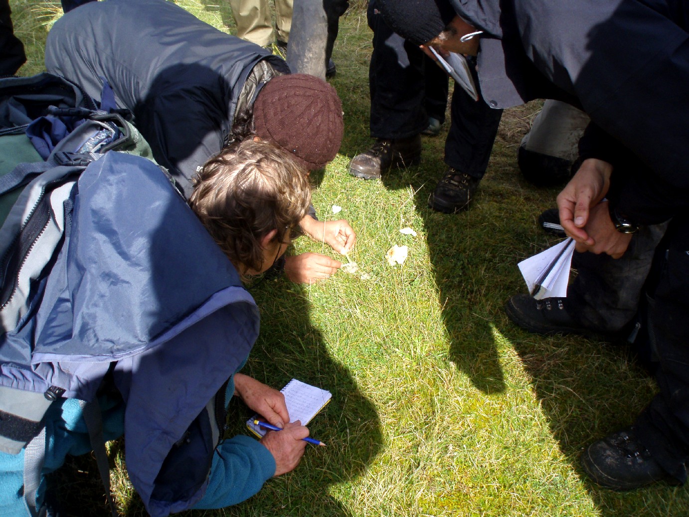 Wild on Arran: Tracking School