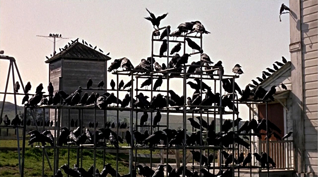 Commentaries on Film: The Birds (1963)