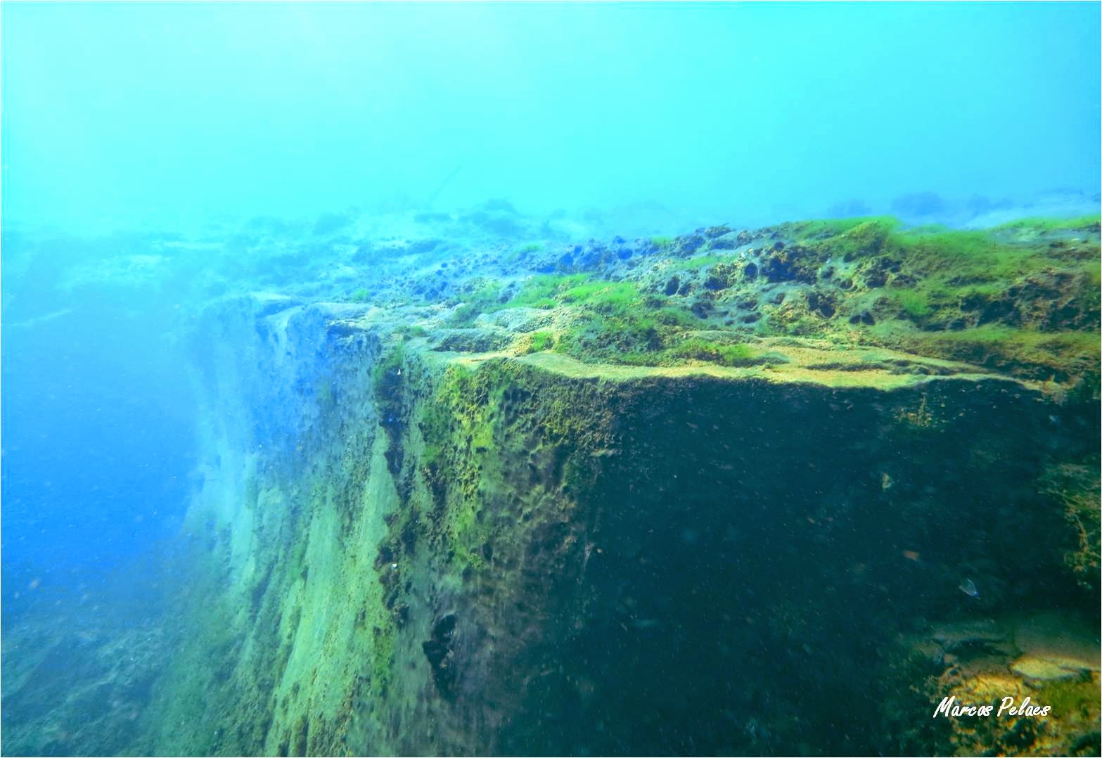 Hidrofilia: Mergulho no Tietê II