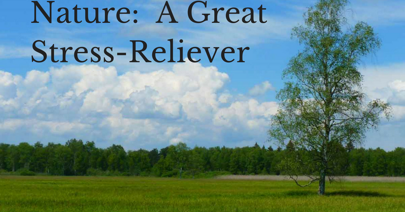 The Long and Winding Road to Wellness: Nature: A Great Stress-Reliever