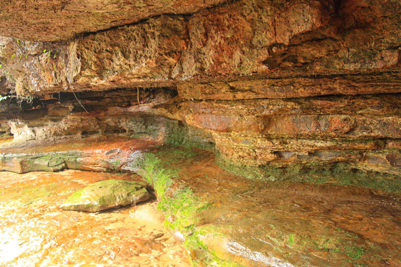 A Visit to Garden of Caves in Meghalaya - The Hidden Gem of East Khasi ...