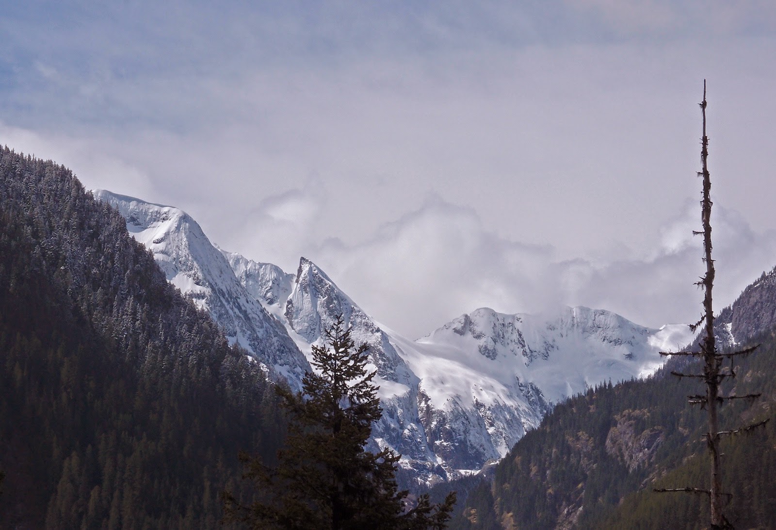 Seeking Ultra: Thunder Basin, North Cascades National Park