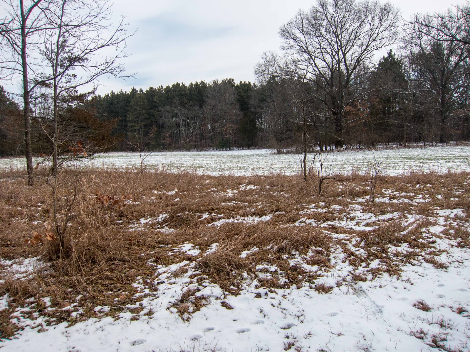 Eric's Hikes: North Country Trail between Middleville and Barry State ...