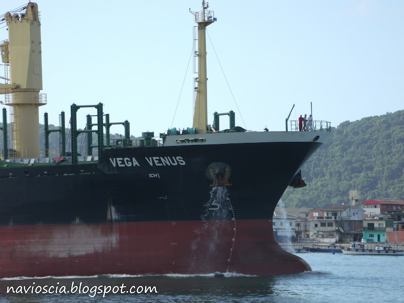 Navios de Santos & CIA: Navio VEGA VENUS