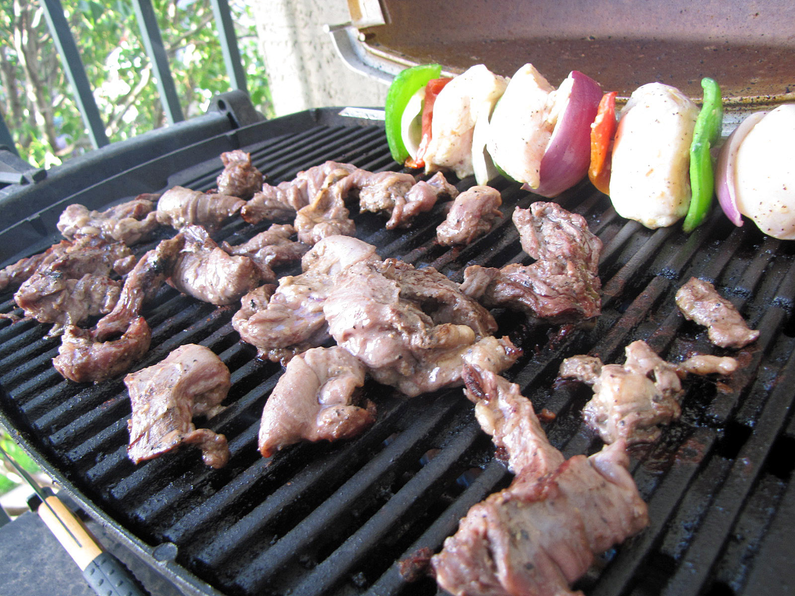 Live Goode: What BBQ Dreams Are Made Of -The Weber Q Grill